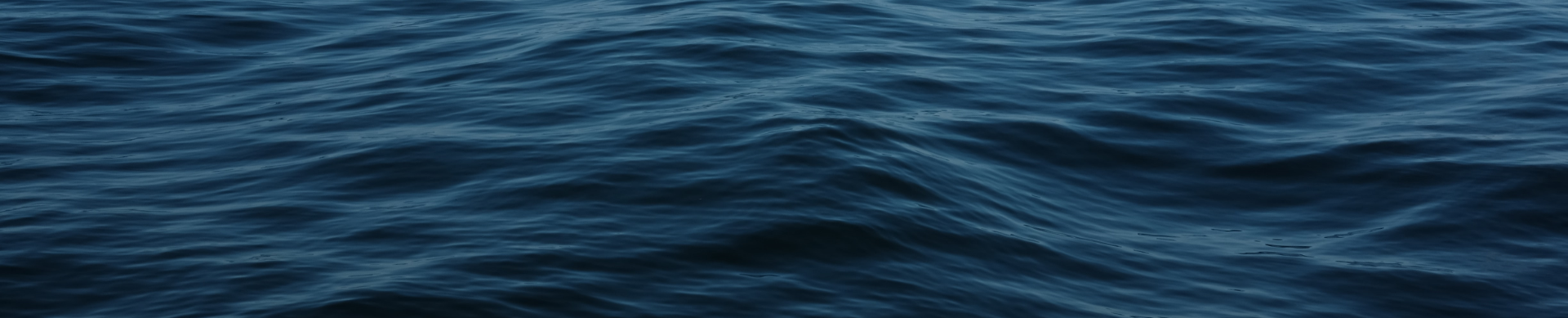 Quiet Enjoyment Letter